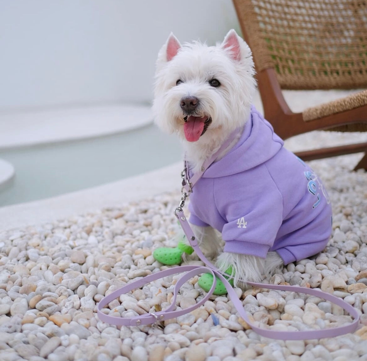 For small dog & cat – Borksmith